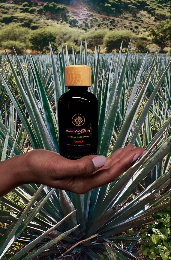 Anncestral: El arte del mezcal de lujo, una tradición renacida